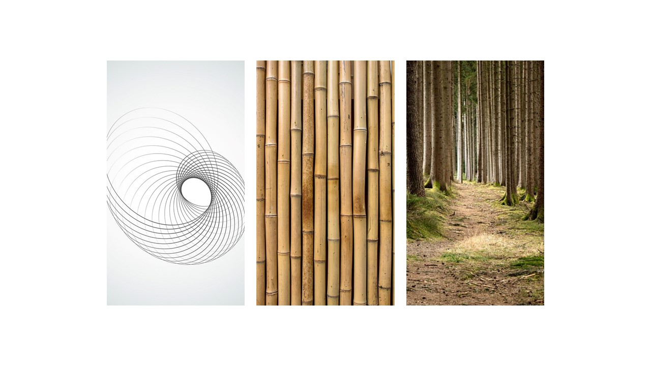 Bamboo Pavilion AI Exploration - Cumilab Works