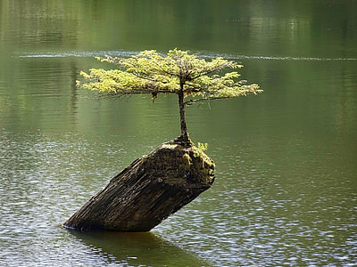 How To Live An Asymmetric Life