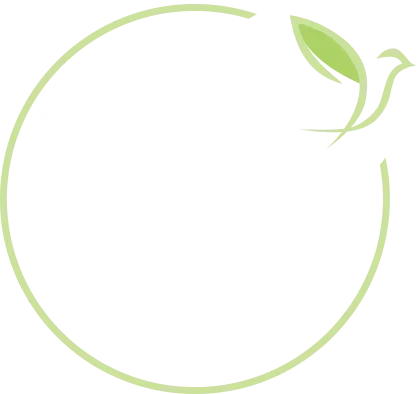 Next Chapter | A future without domestic abuse