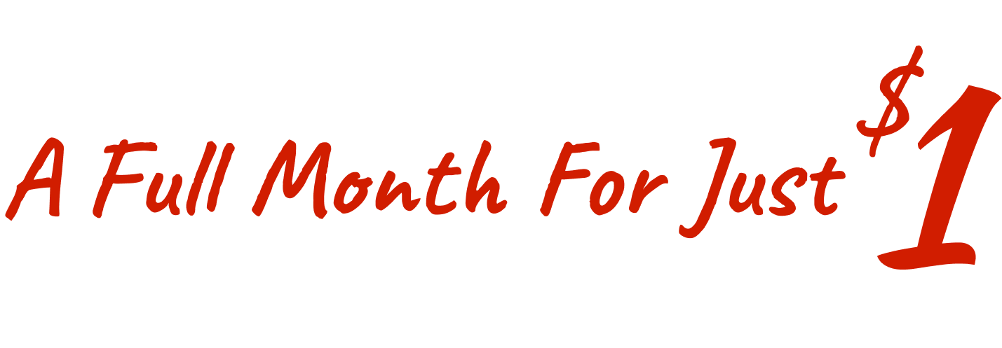 Join STARTUP Club AI For Only $1!