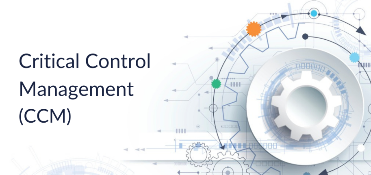 Critical Risk Management (CCM): A Practical Guide