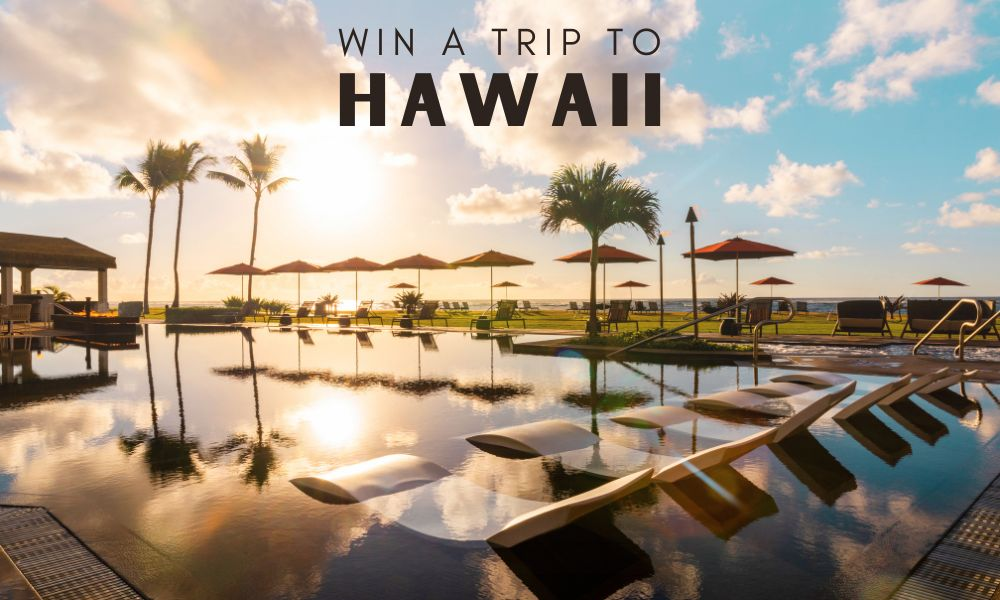 🏝️Say "aloha" to our next giveaway... 😏 - Daily Drop Aug 07, 2023