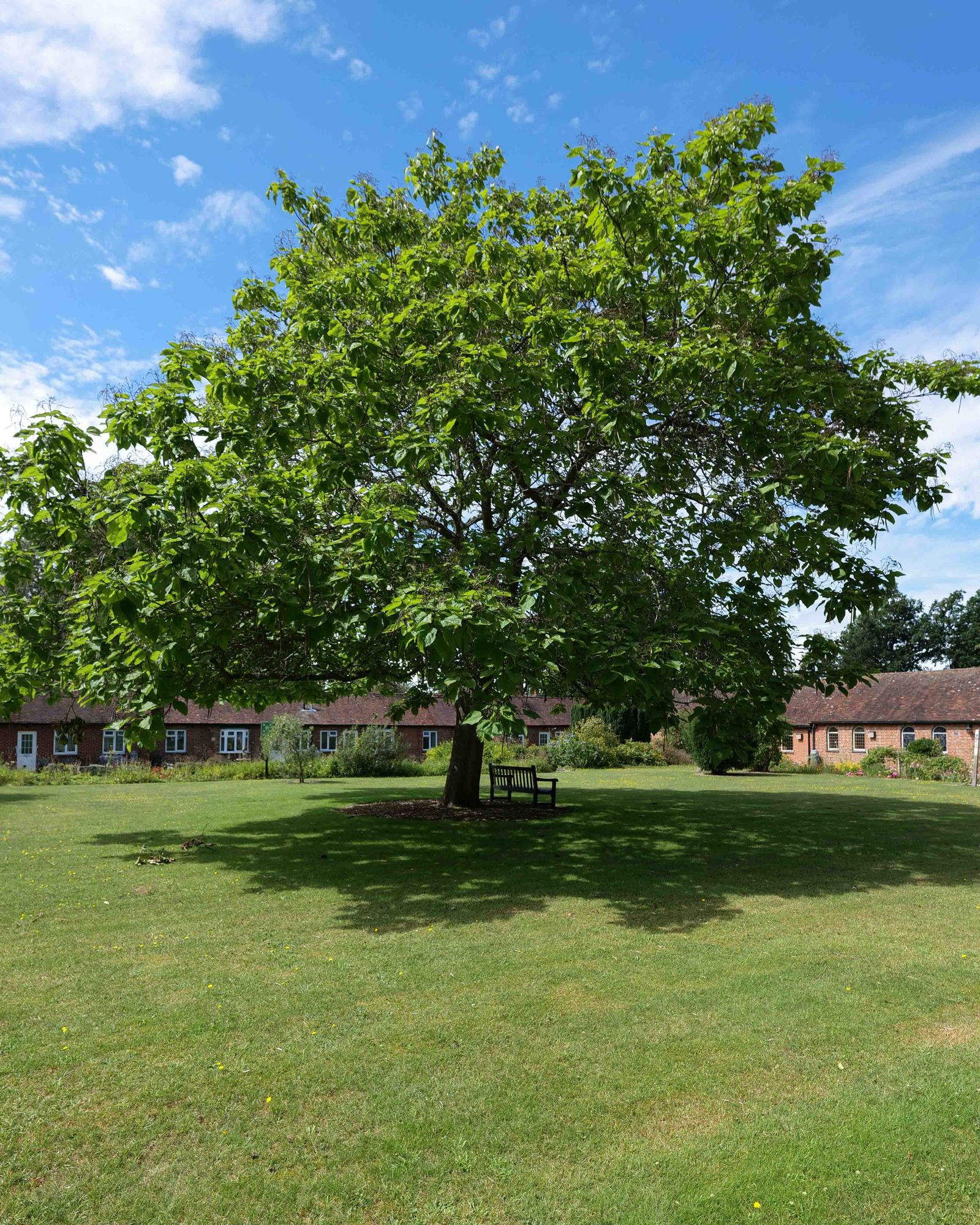 Membership | The Seekers Trust