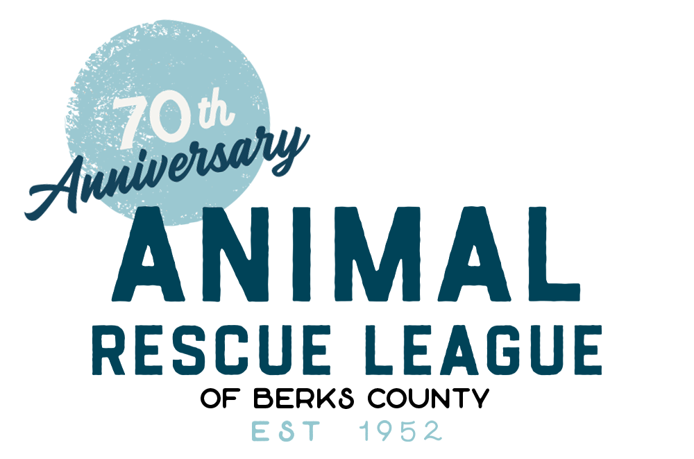 Berkshire Commons - Live More