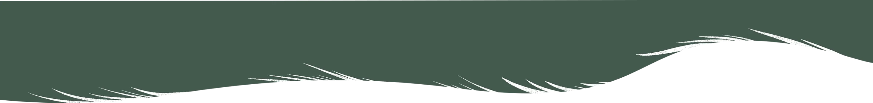 Prepaid Cremation Plans & Funeral Insurance | After.com