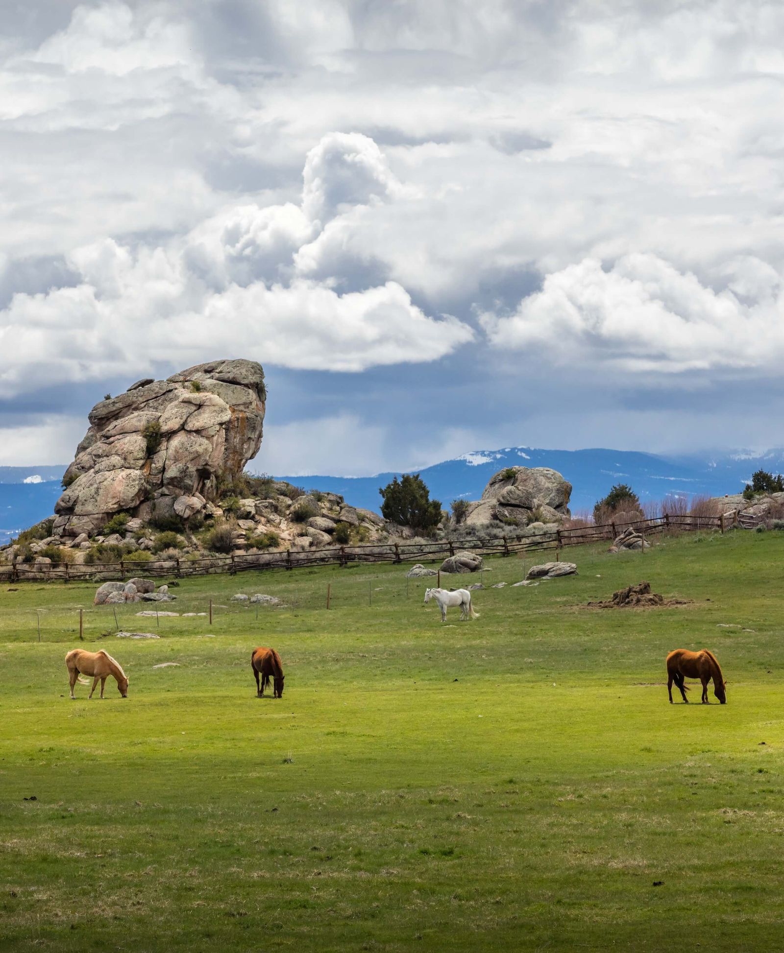 RMT Architects | Custom Mountain Architects | Vail, Colorado