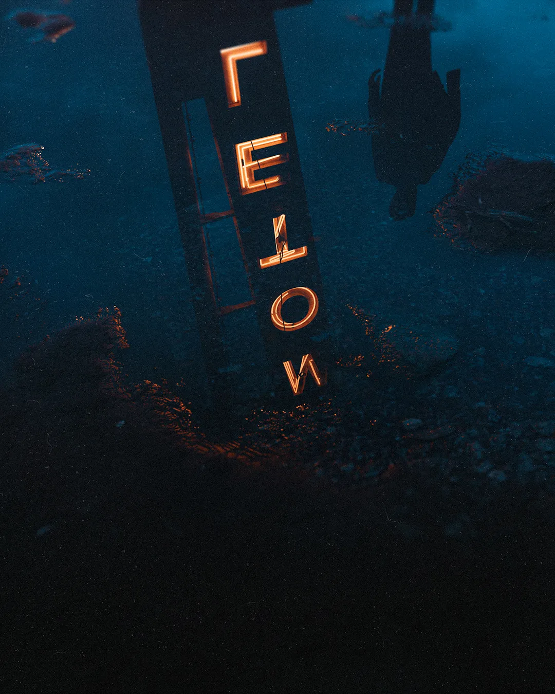 Kaiwan Shaban - Visual Artist