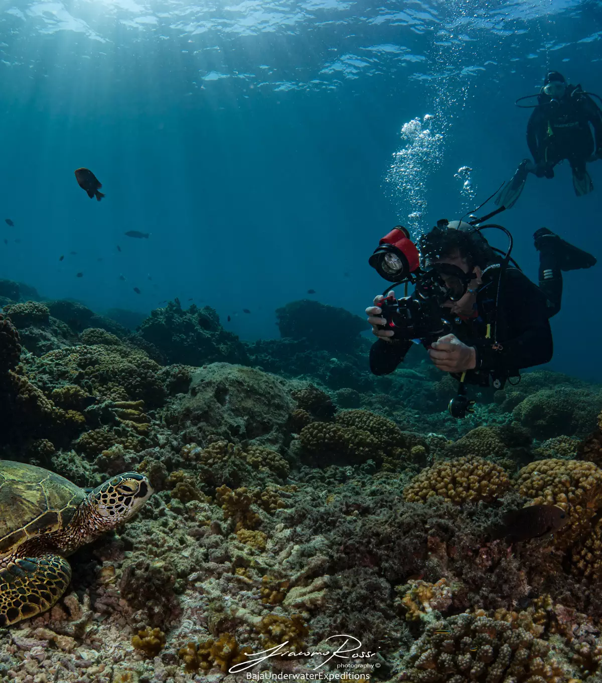 Baja Underwater Expeditions