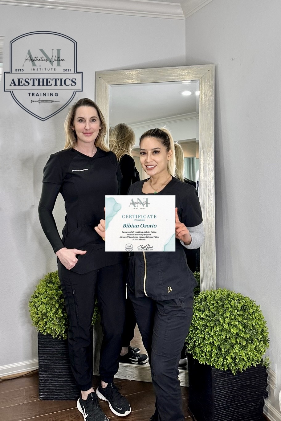 Aesthetic Nation Institute