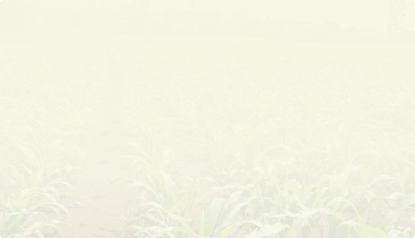 Silal Innovation Oasis - State-of-the-Art R&D Center