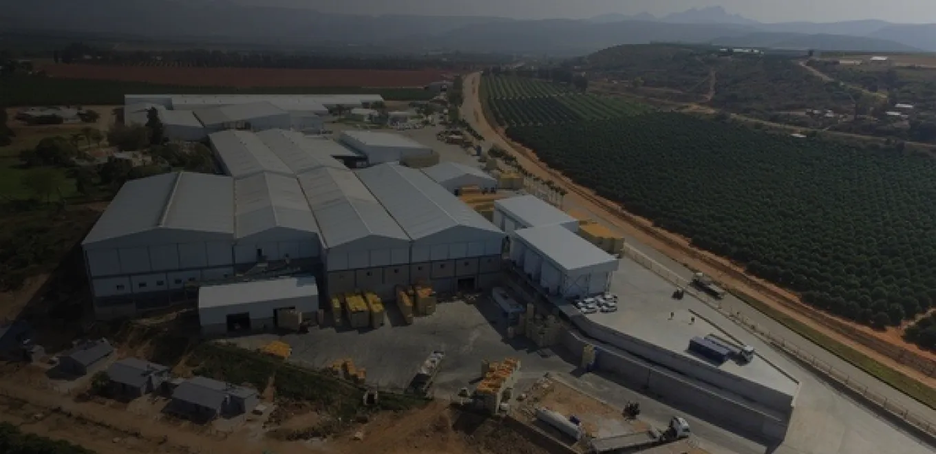 Silal Packhouse - Largest Automated Packhouse in the UAE