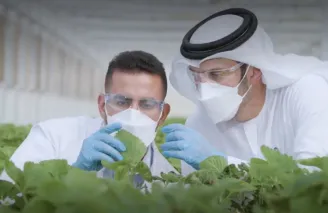 Silal Fresh - Your Source for Fresh Produce