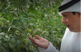 Silal Innovation Oasis - State-of-the-Art R&D Center