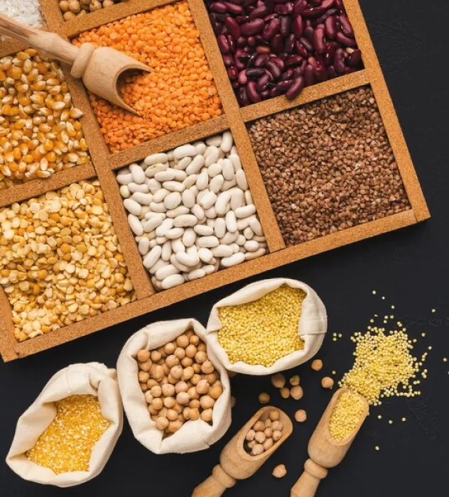 Silal Food - Nourishing Every Home