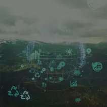 Silal Fresh - Your Source for Fresh Produce