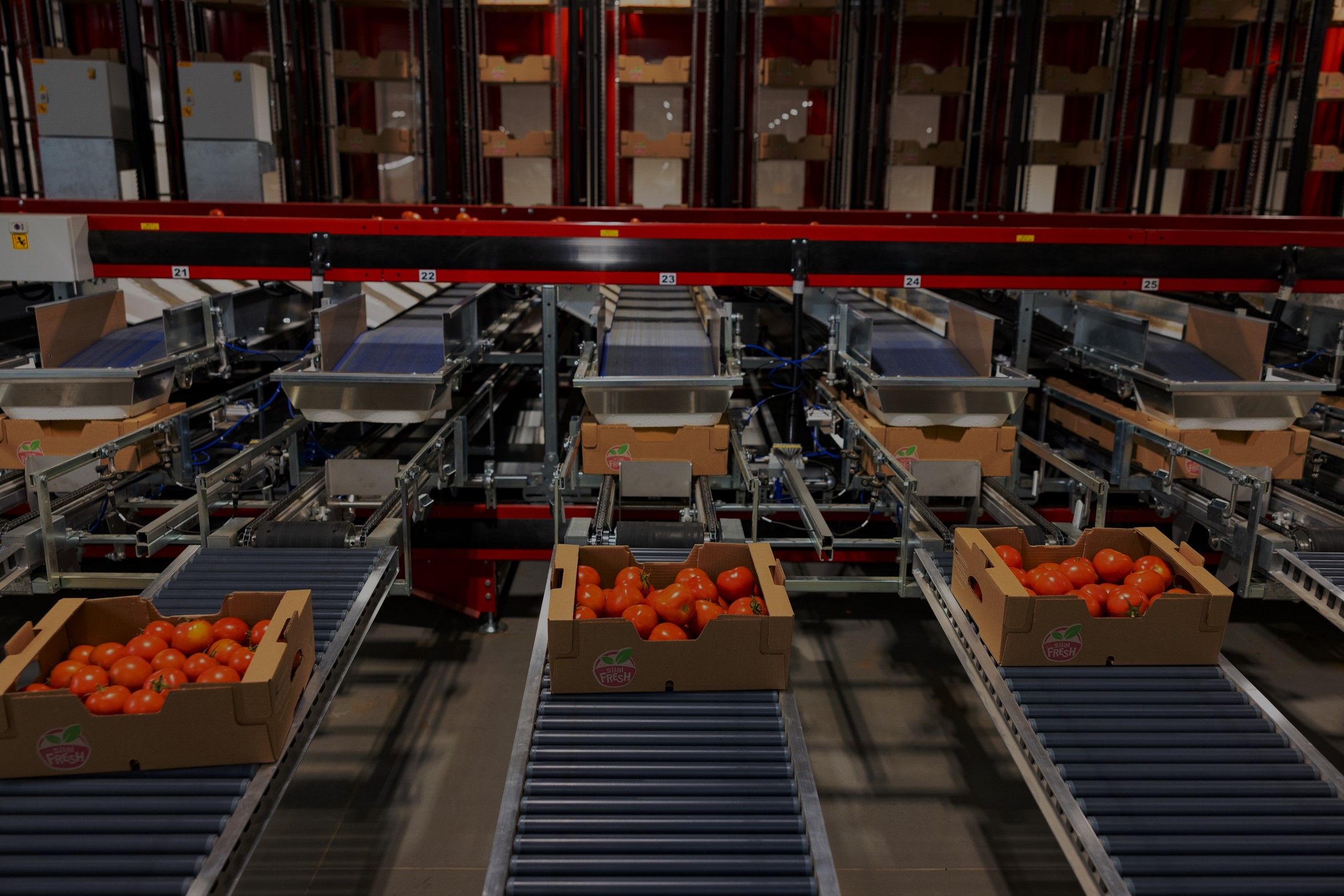 Silal Packhouse - Largest Automated Packhouse in the UAE