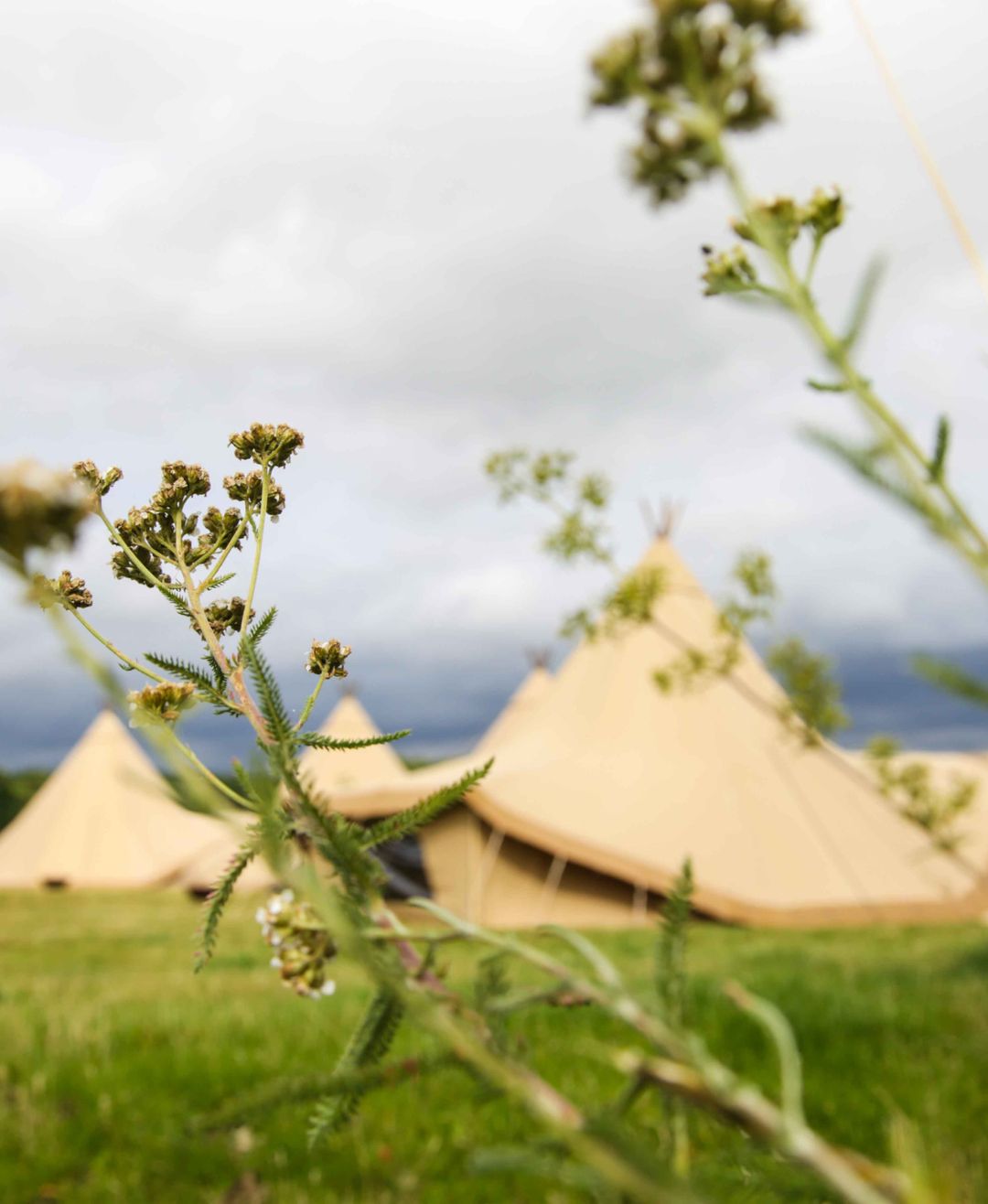 4 Tipi Layout Examples and Gallery