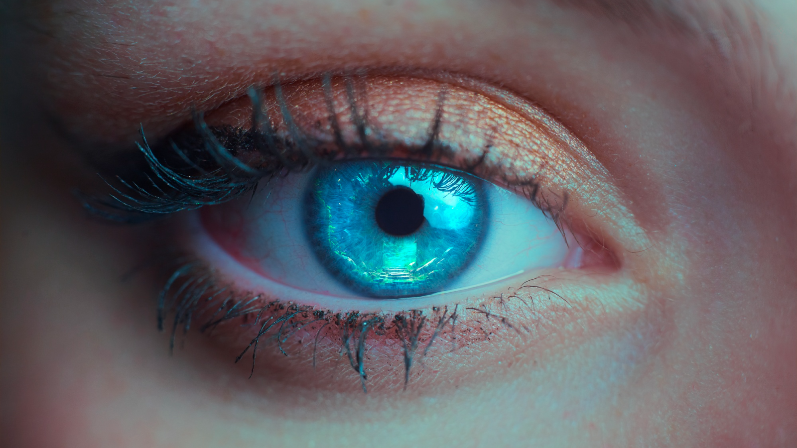 Eye Tracking: The Ultimate Guide for UX & UI Designers