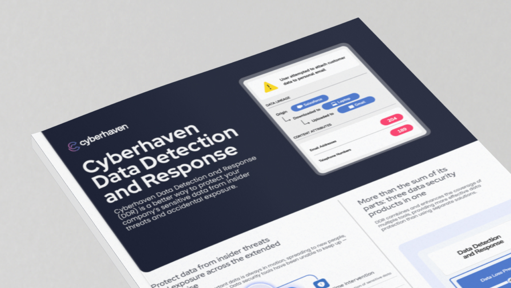 Content library | Cyberhaven