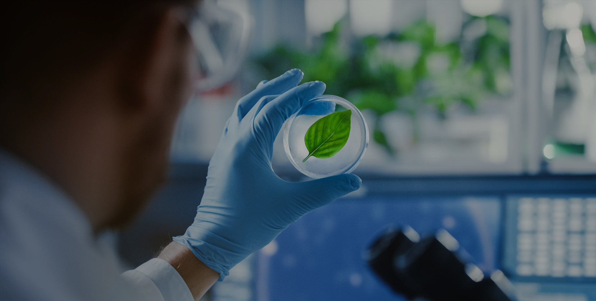 BioApplications Inc.