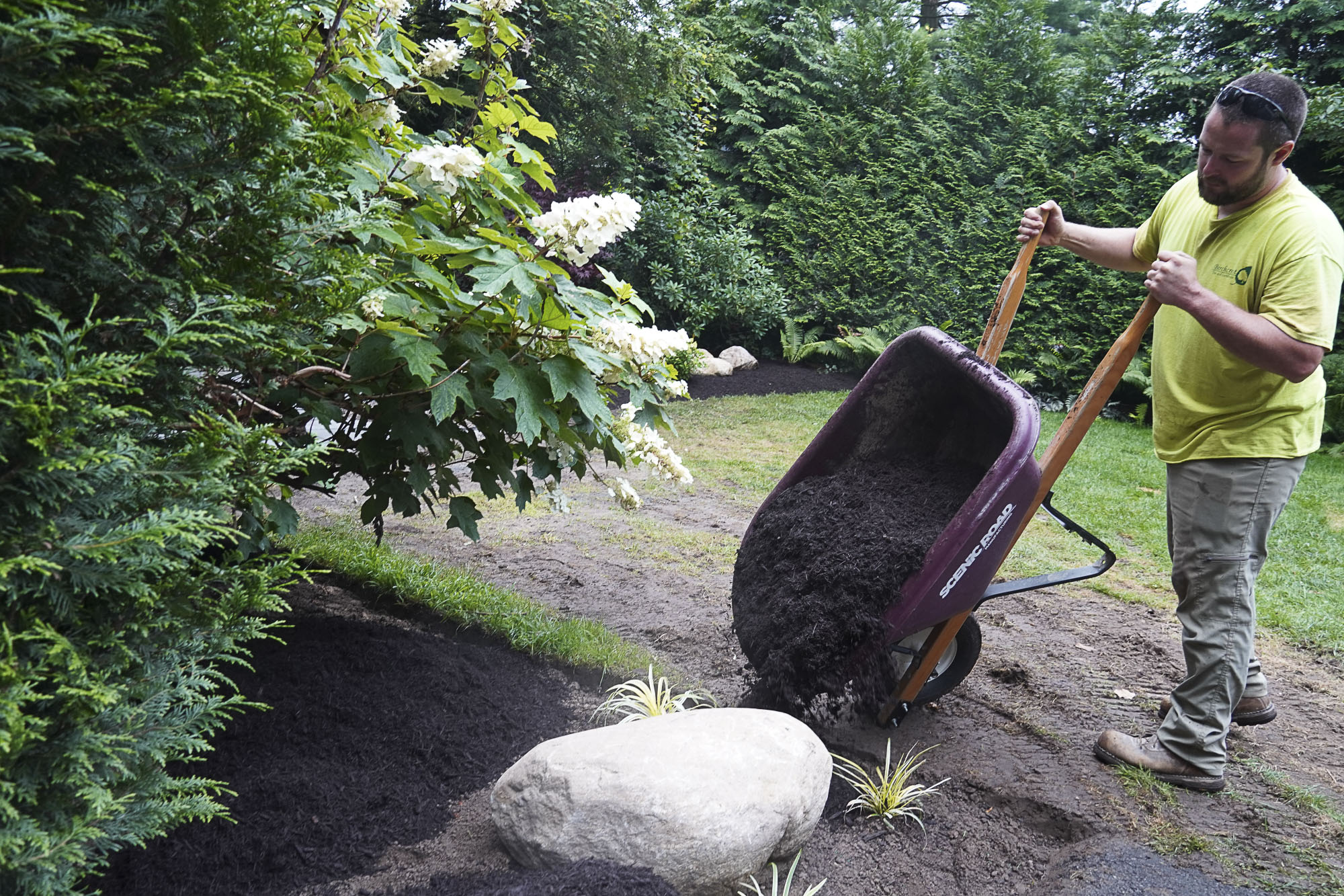 Birchcrest Tree & Landscape: Expert Landscaping Services in Rochester, NY