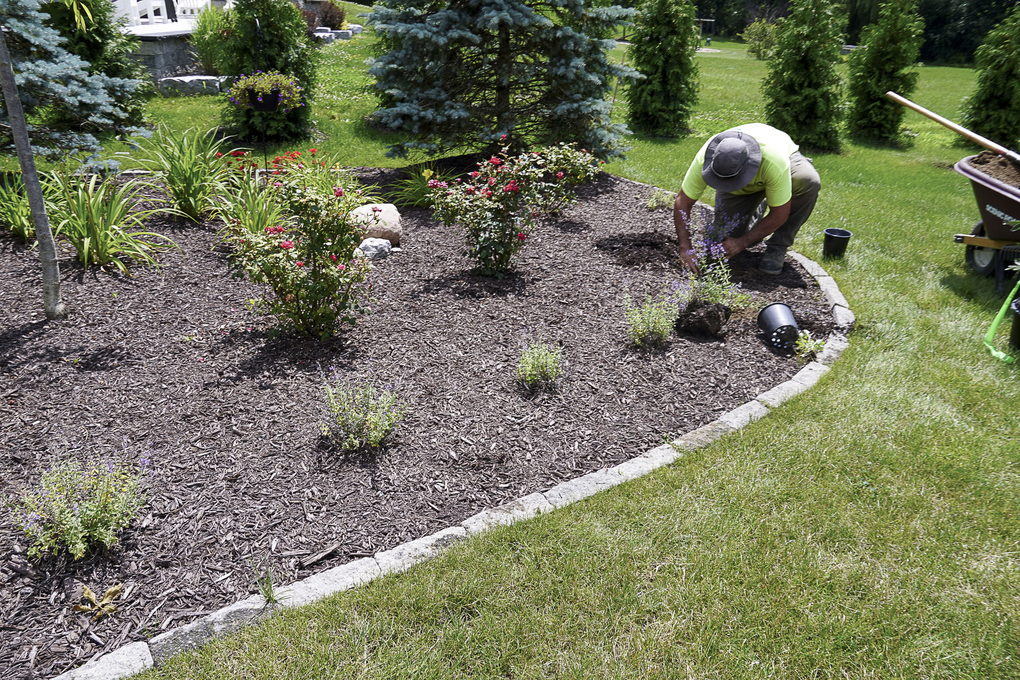Birchcrest Tree & Landscape: Expert Landscaping Services in Rochester, NY