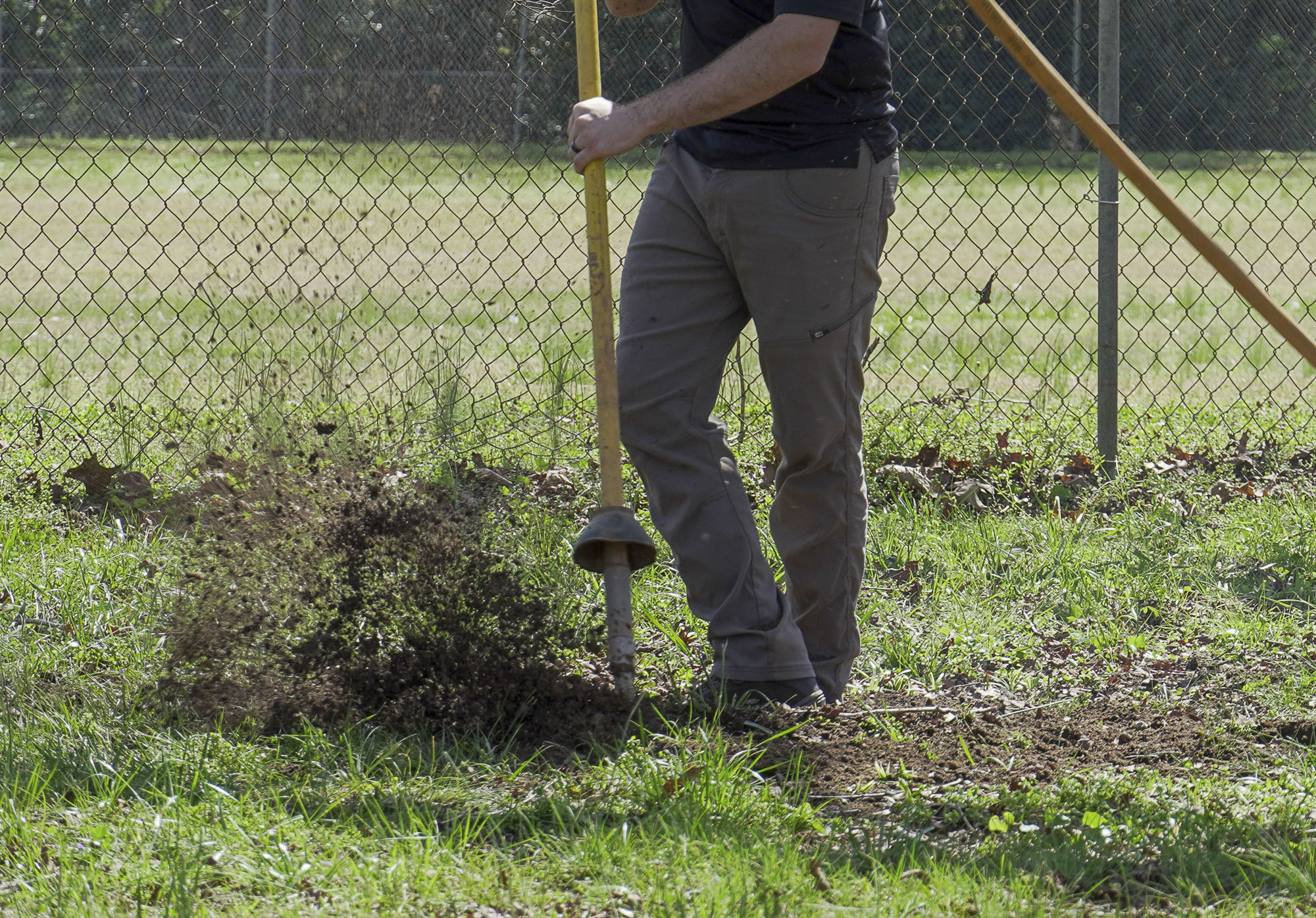 Birchrest Tree & Landscape: Tree Care Excellence