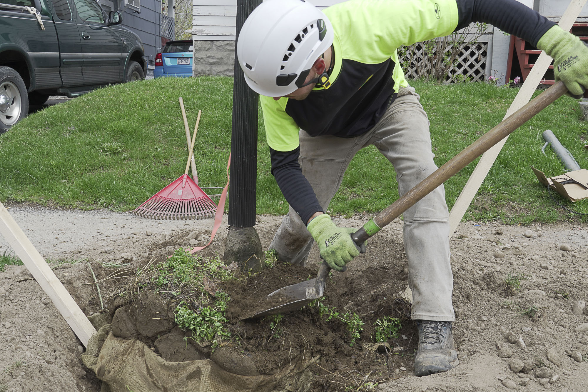 Birchrest Tree & Landscape: Tree Care Excellence