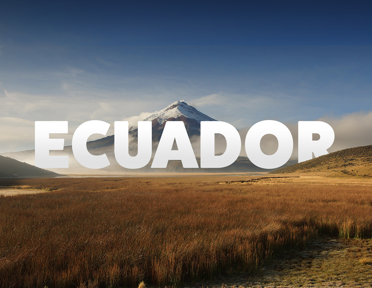 NAS Travels | See The World. The NASDAILY. way