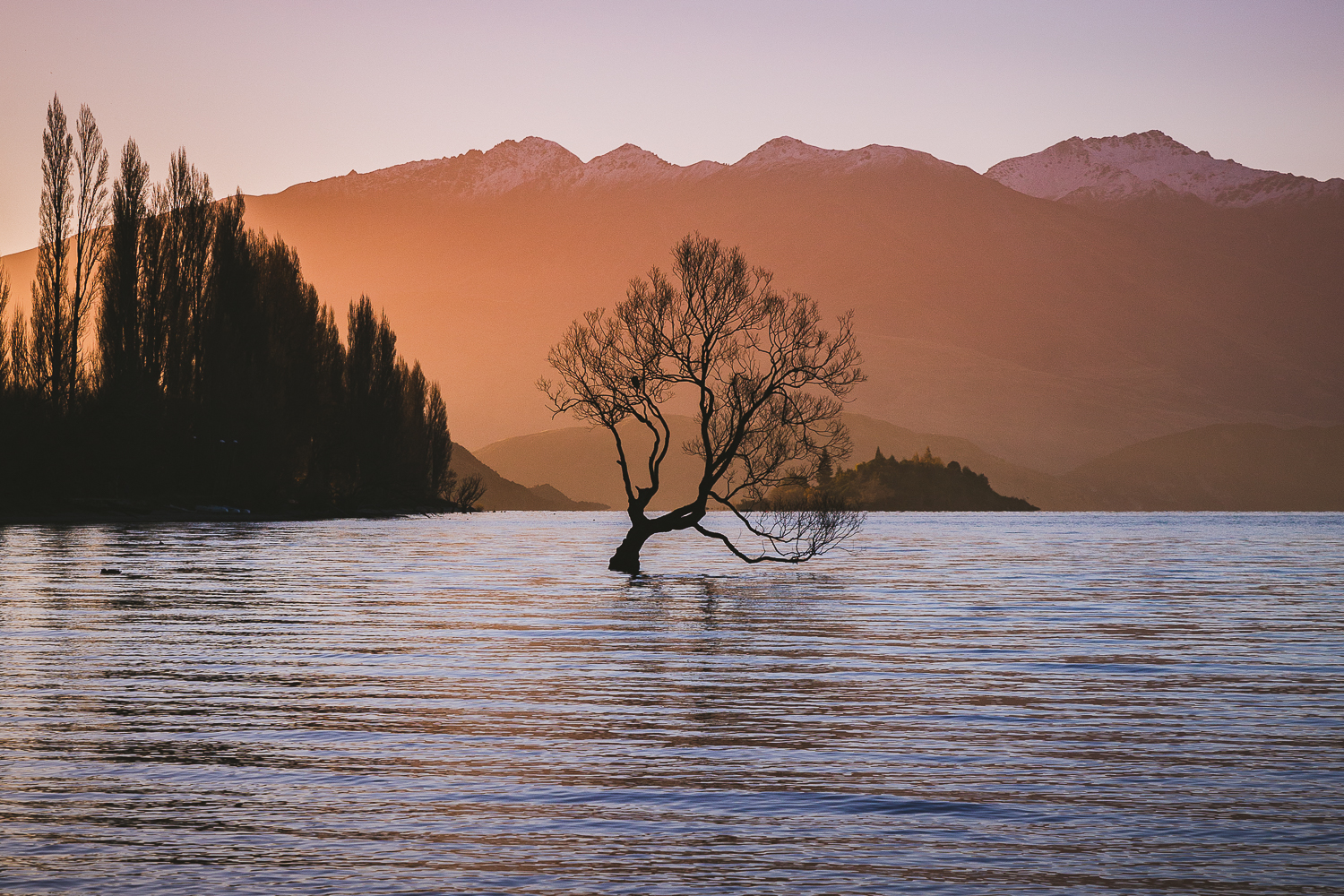 Tim Shoultz Photography - Queenstown Events and Brand Photographer