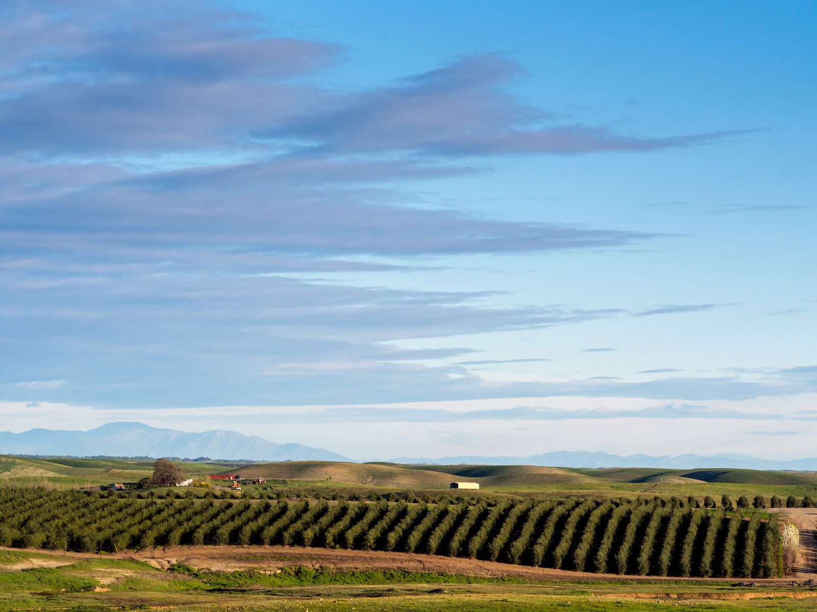 Chico Dermatology | CK Derm