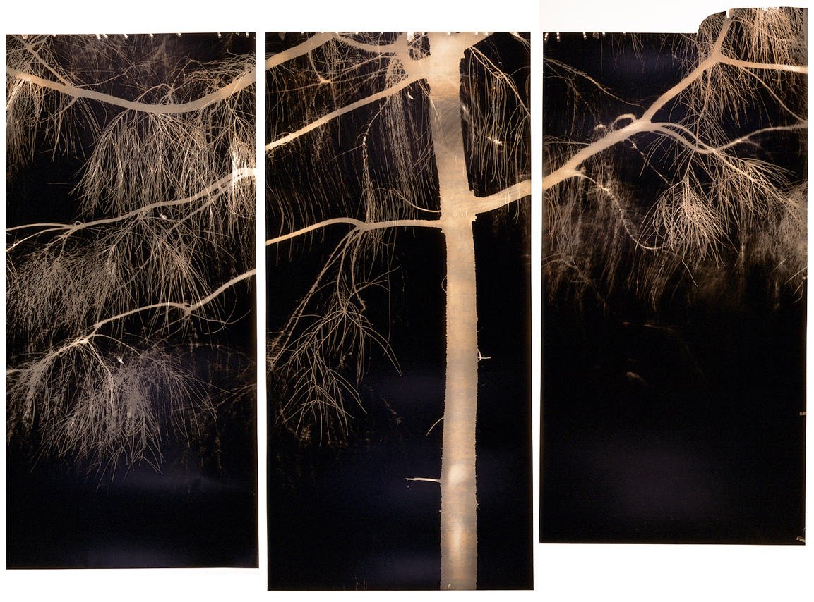 cbOne Gallery | Harry Nankin