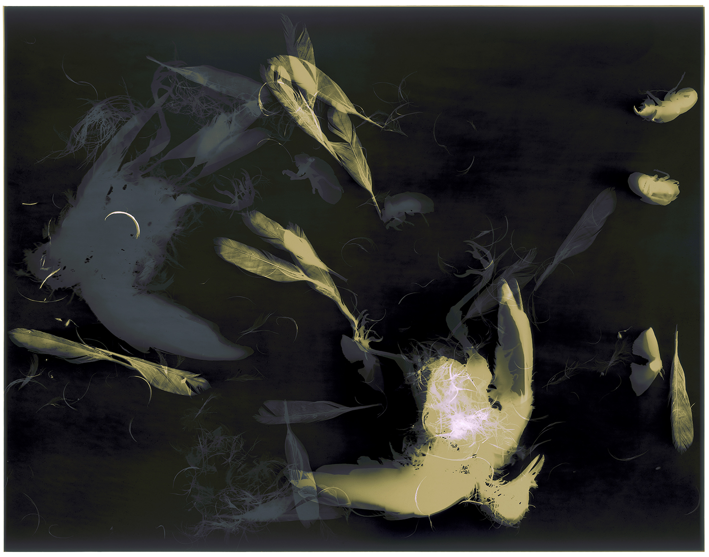 cbOne Gallery | Harry Nankin