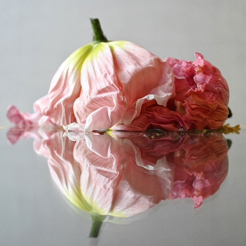 cbOne Gallery | Carlo Golin