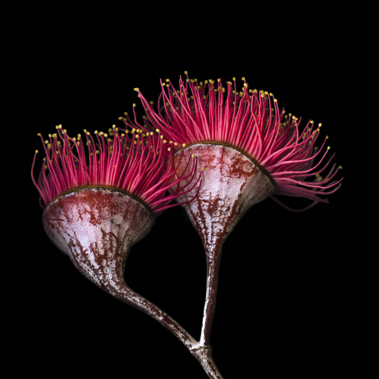 cbOne Gallery | Stockroom