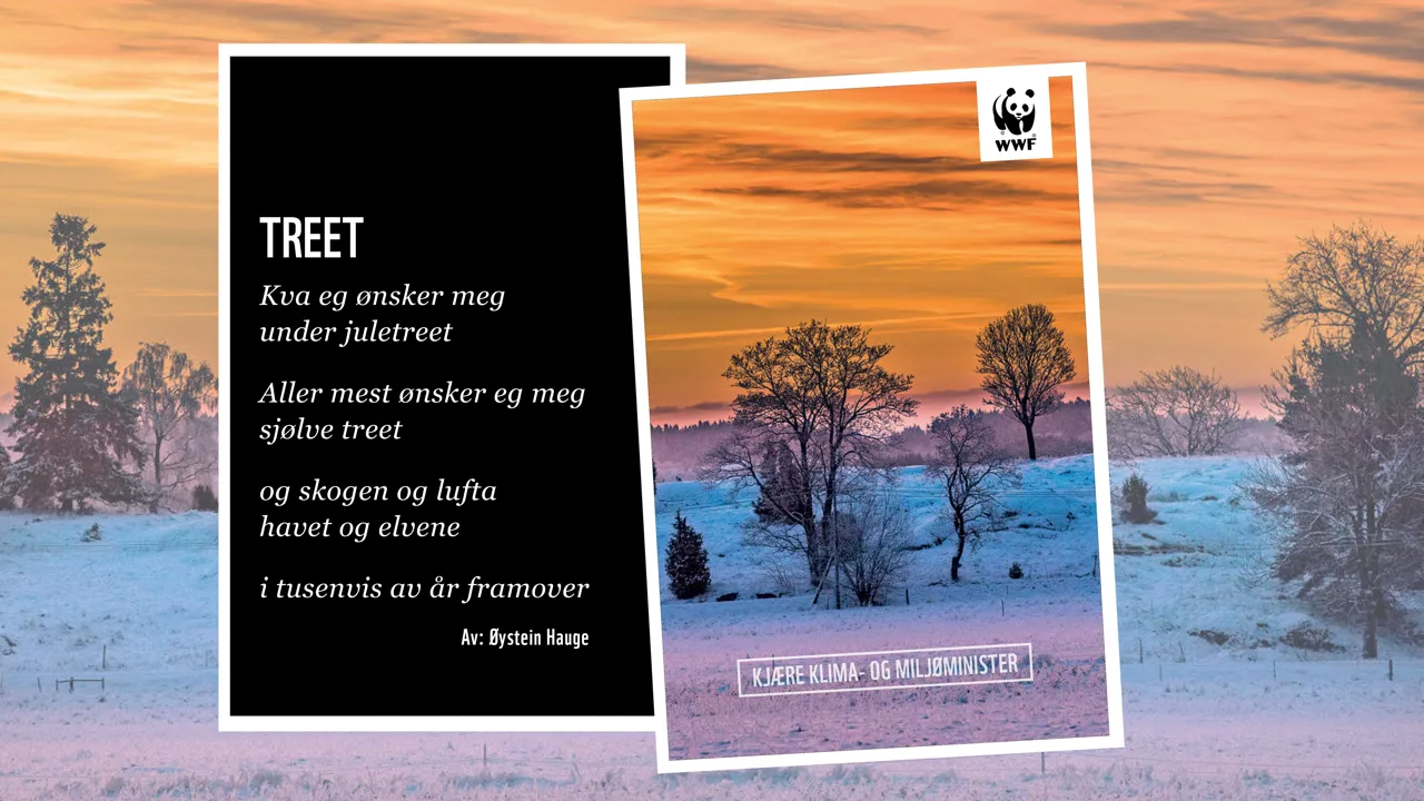 Vi ønsker oss MER NATUR til jul