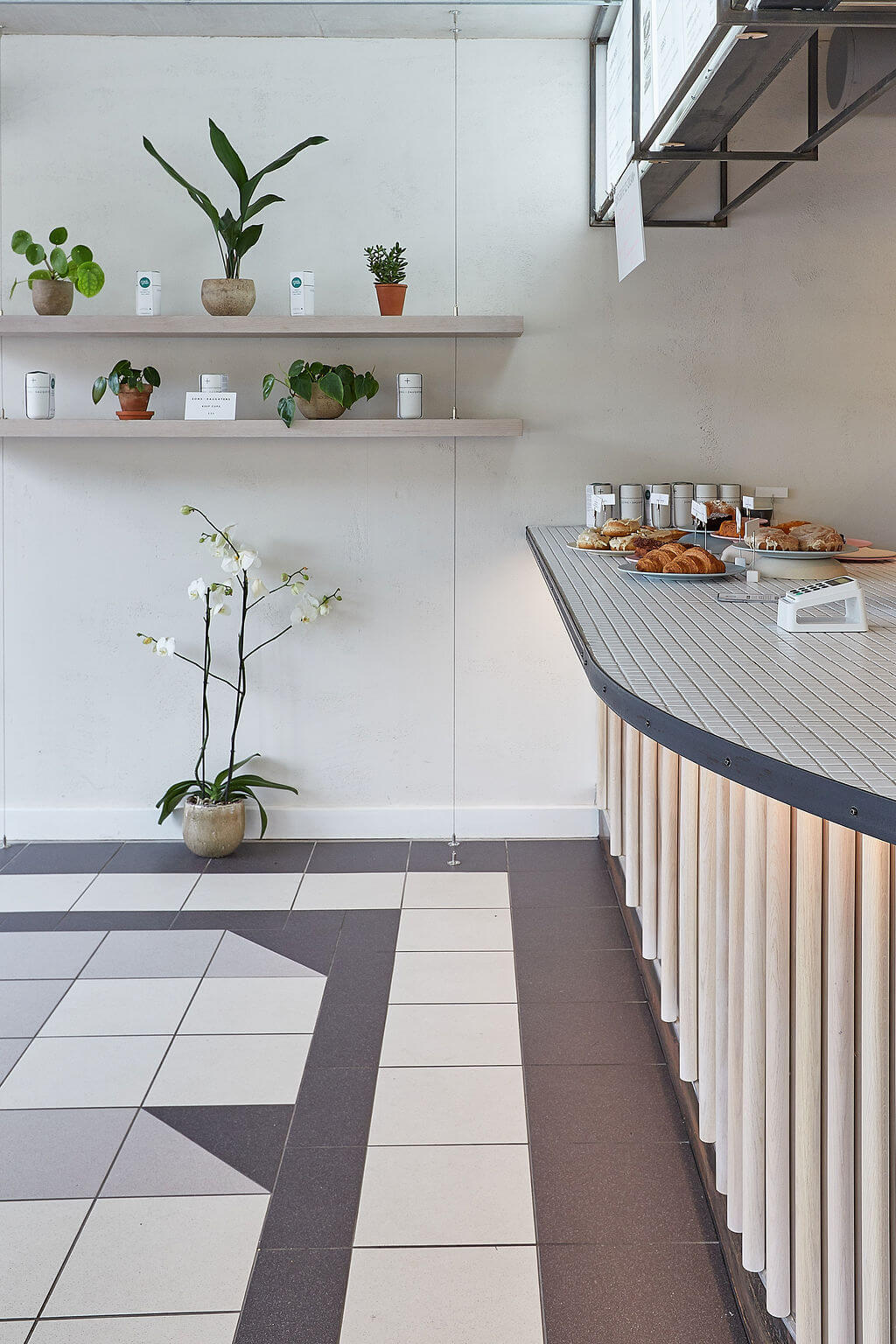 Block 1 Project - SONS + DAUGHTERS