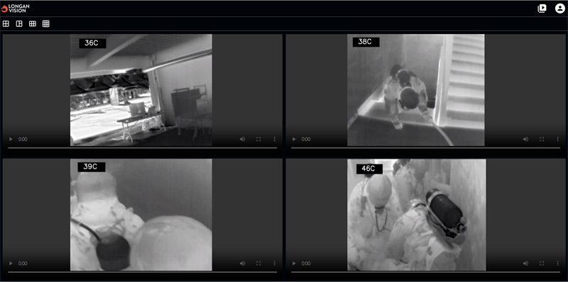 Products - Longan Vison