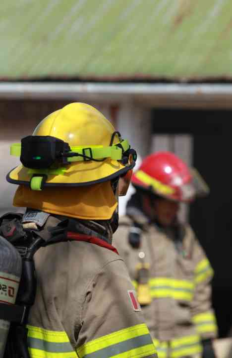 Products - Longan Vison