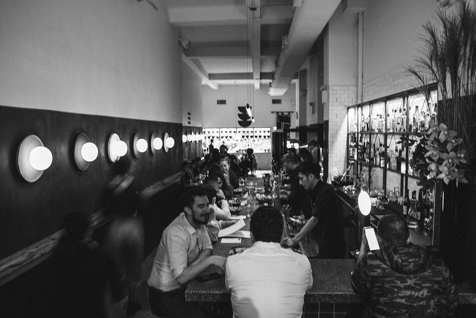 Tonchin - New York, Brooklyn and LA