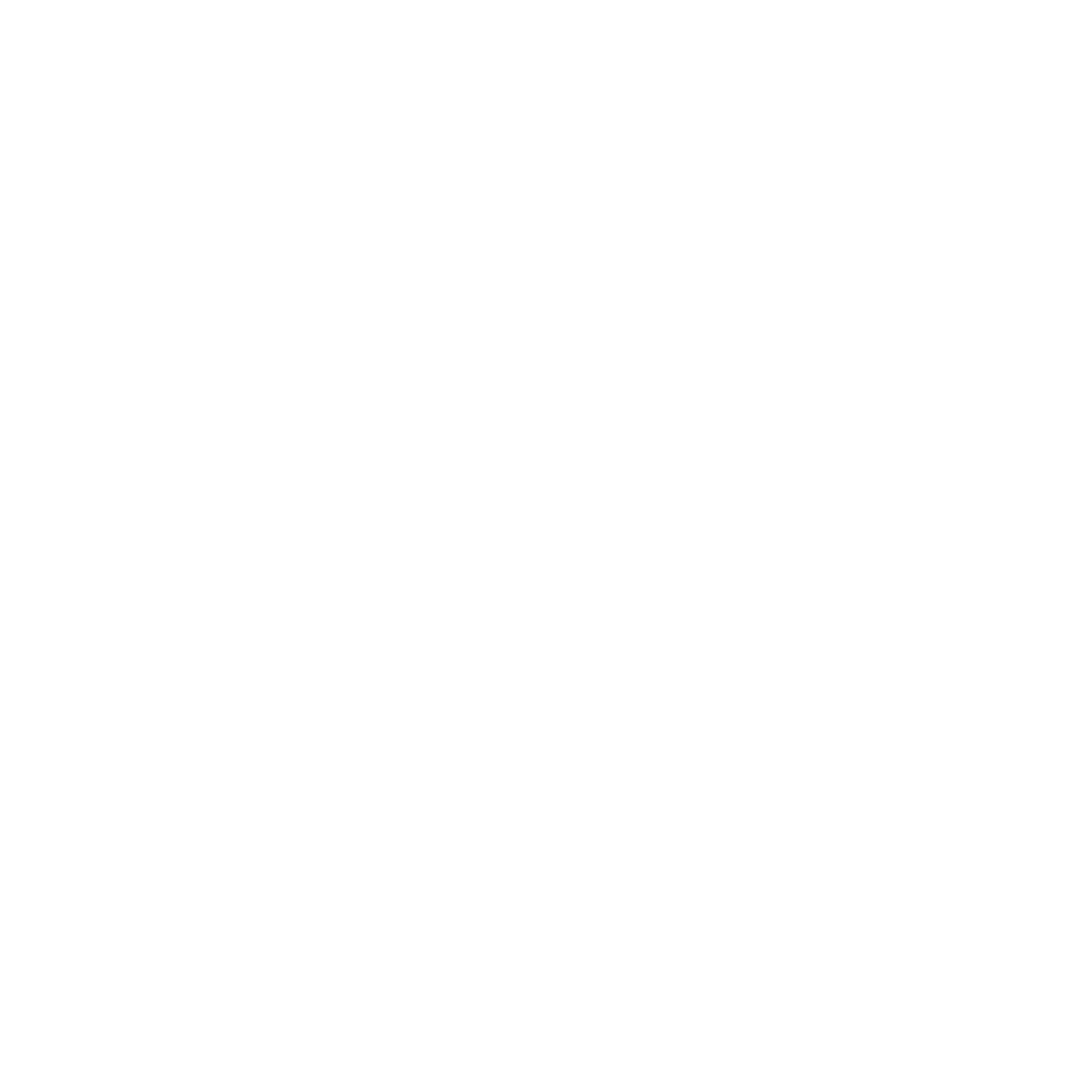 Braveheart Bulliez Rescue