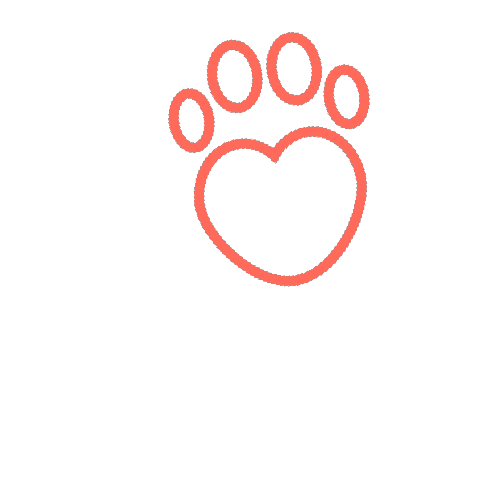 Braveheart Bulliez Rescue