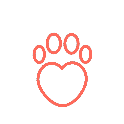 Braveheart Bulliez Rescue