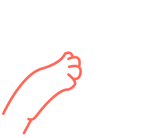 Braveheart Bulliez Rescue