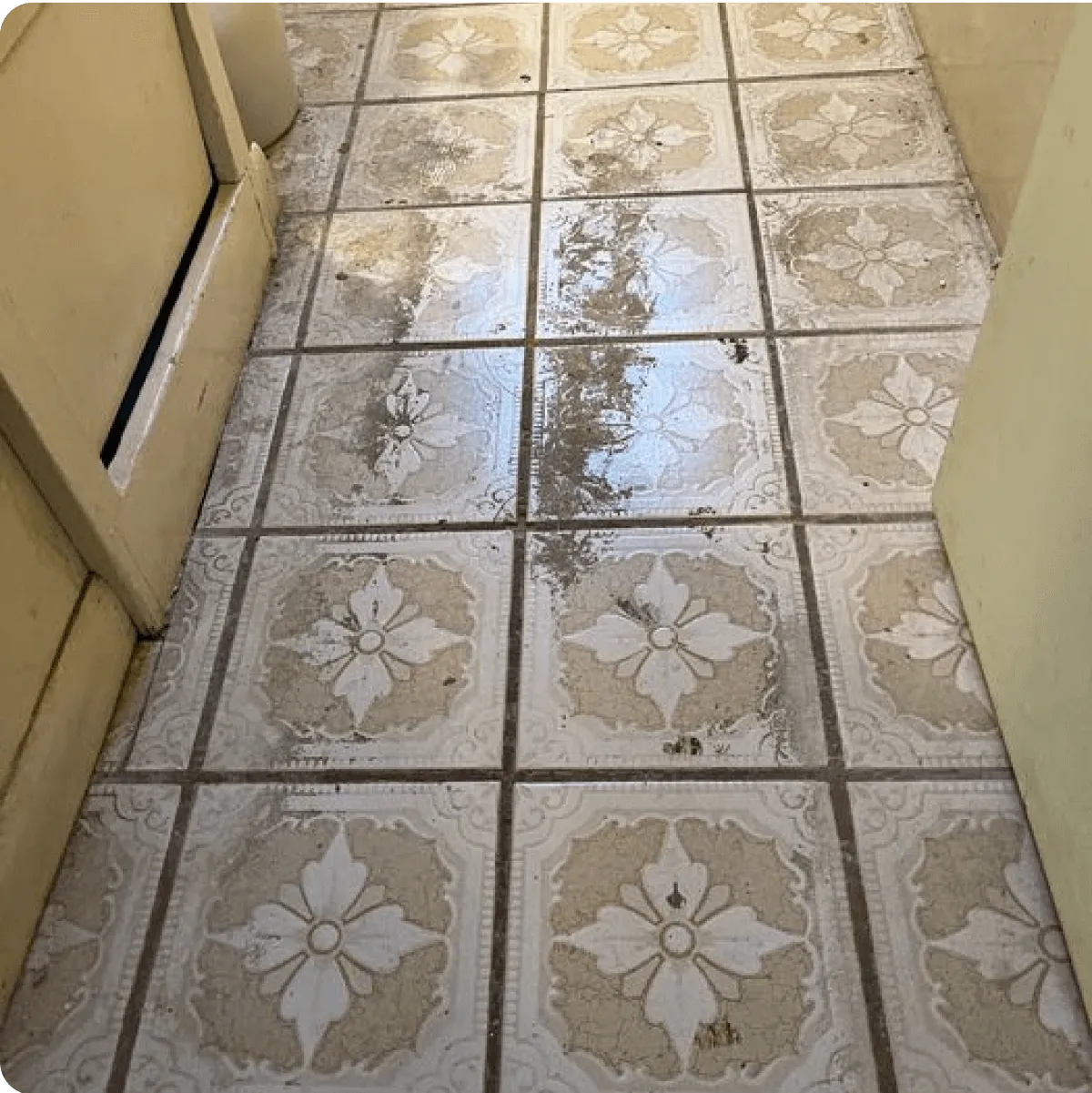 West Michigan Home Cleaning Services | Renewed Comfort Cleaning