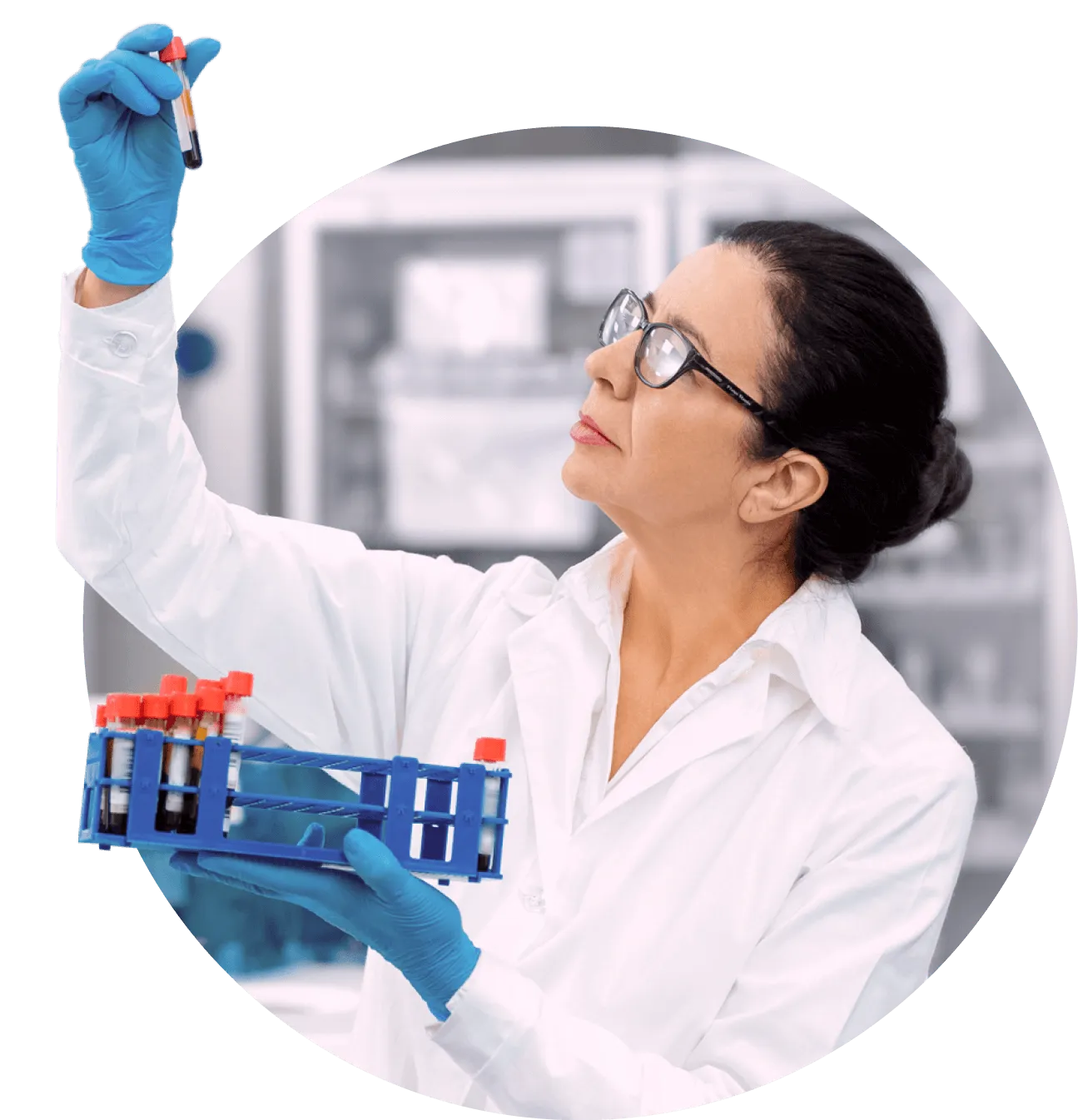 PROphet Technology | OncoHost's Precision Oncology Platform