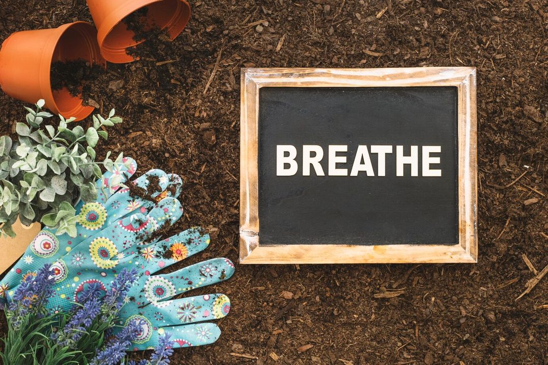 70+ Inspirational Caregiver Quotes