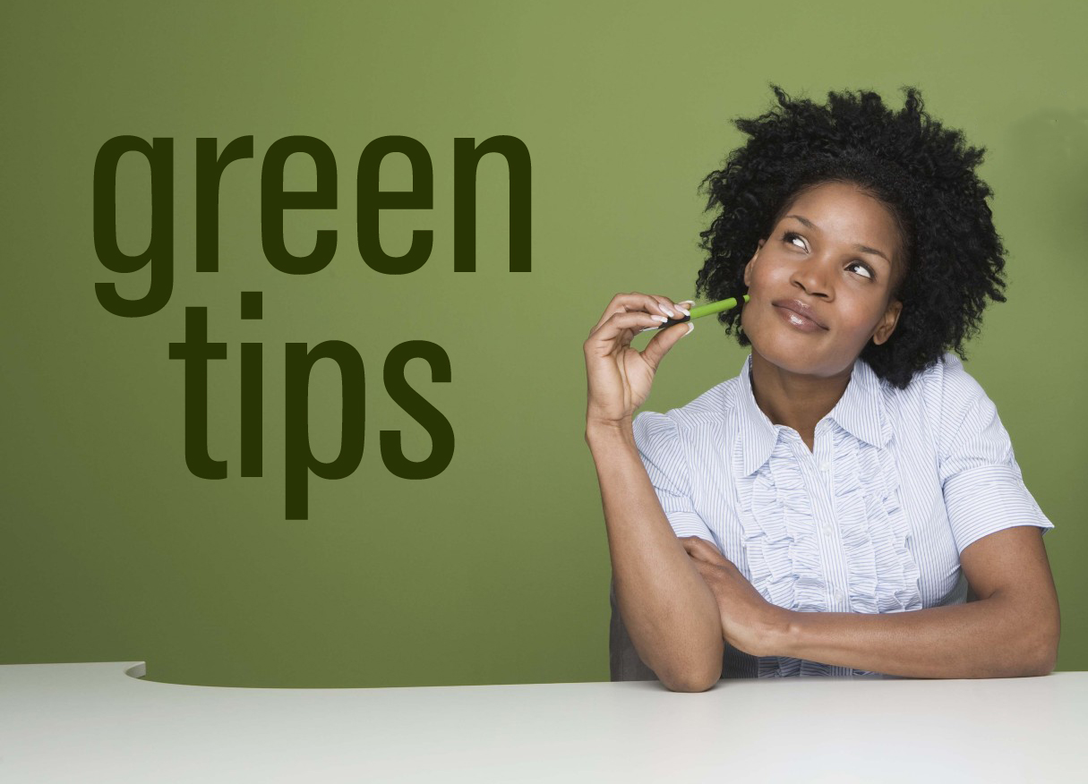 Going Green at the office | Insight by Giant Leap