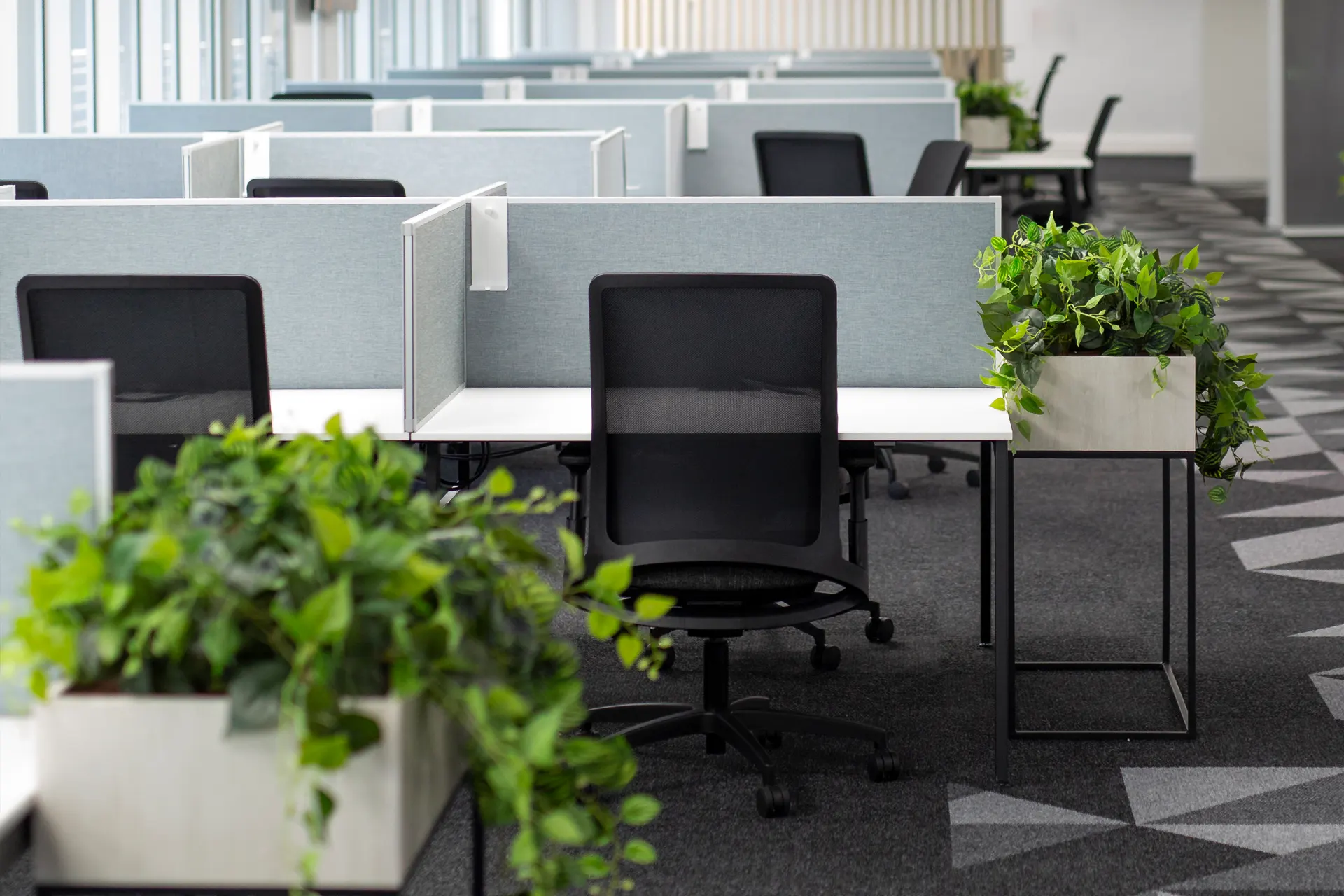 Webhelp CPT - Project Showcase | Giant Leap