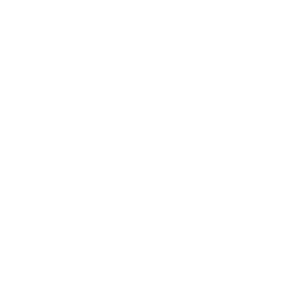 P1 Security, leader in mobile network security